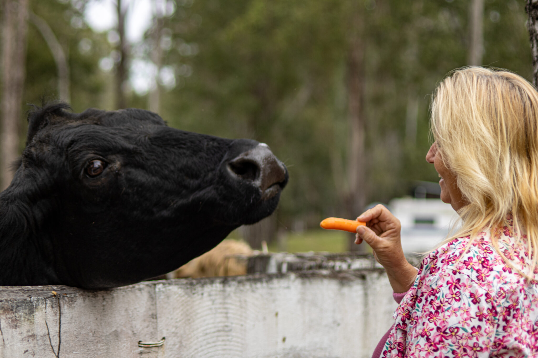 JJJ'S Ranch – Farm Stay